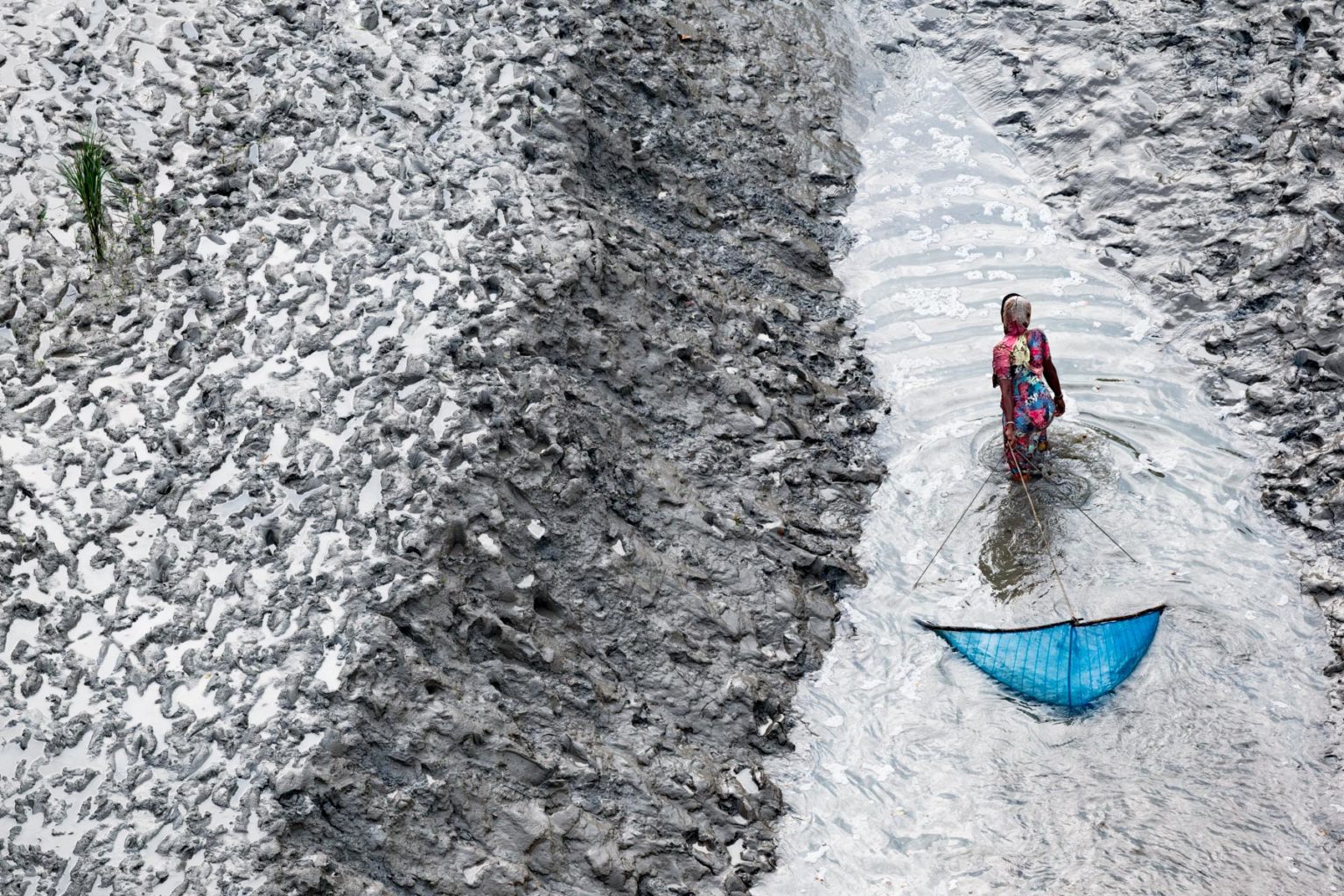 Yann Arthus-Bertrand | Yann Arthus-Bertrand's Photos