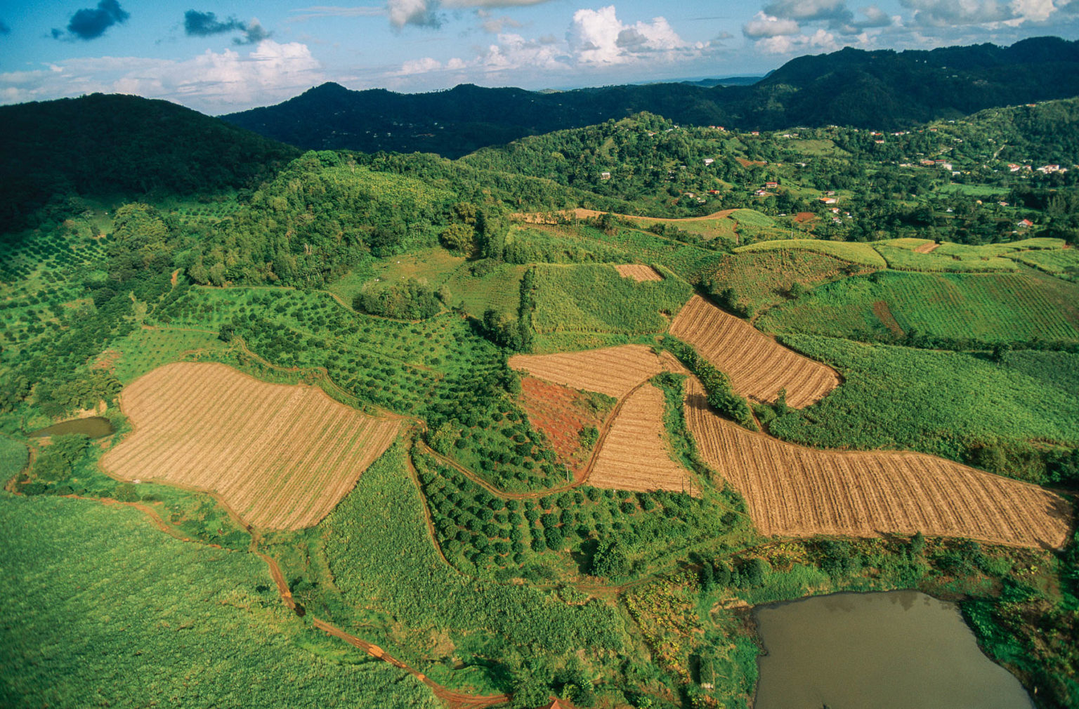 Antilles | Yann Arthus-Bertrand's Photos