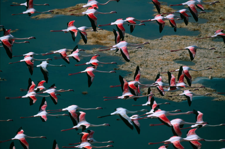 Algeria_Book | Yann Arthus-Bertrand's Photos