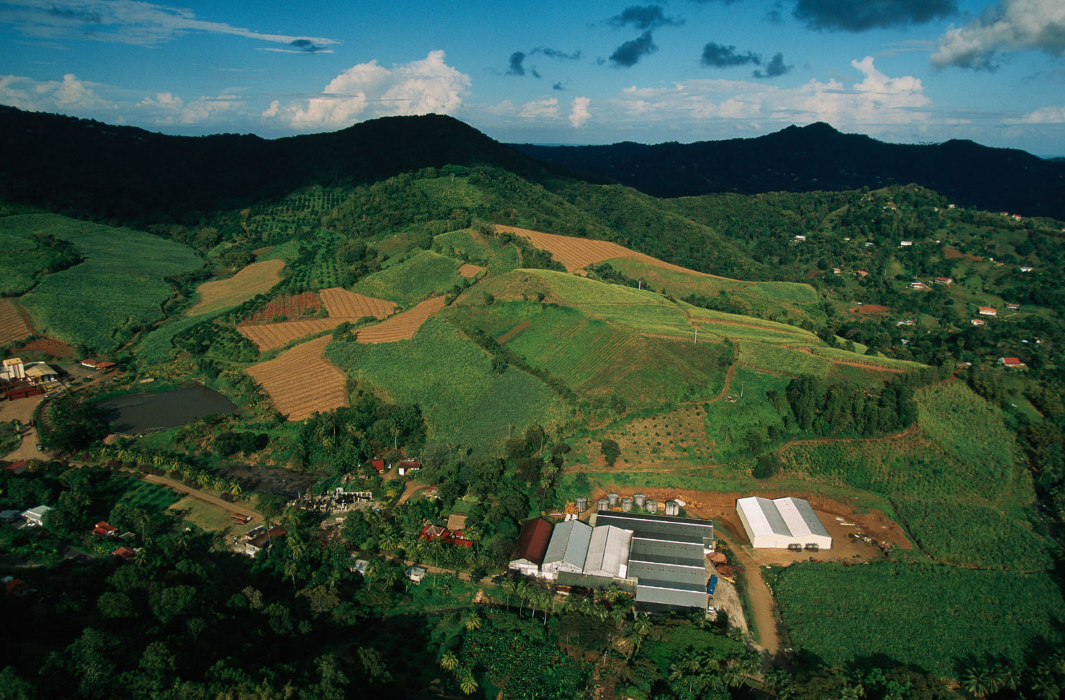 Antilles | Yann Arthus-Bertrand's Photos