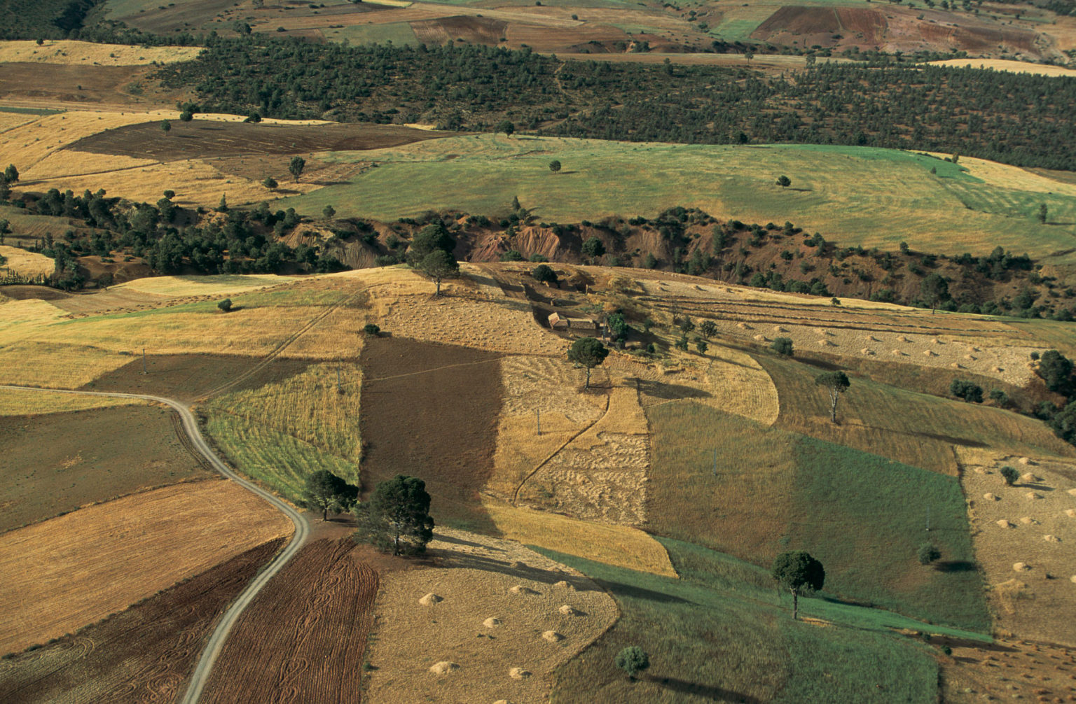 Algeria | Yann Arthus-Bertrand's Photos