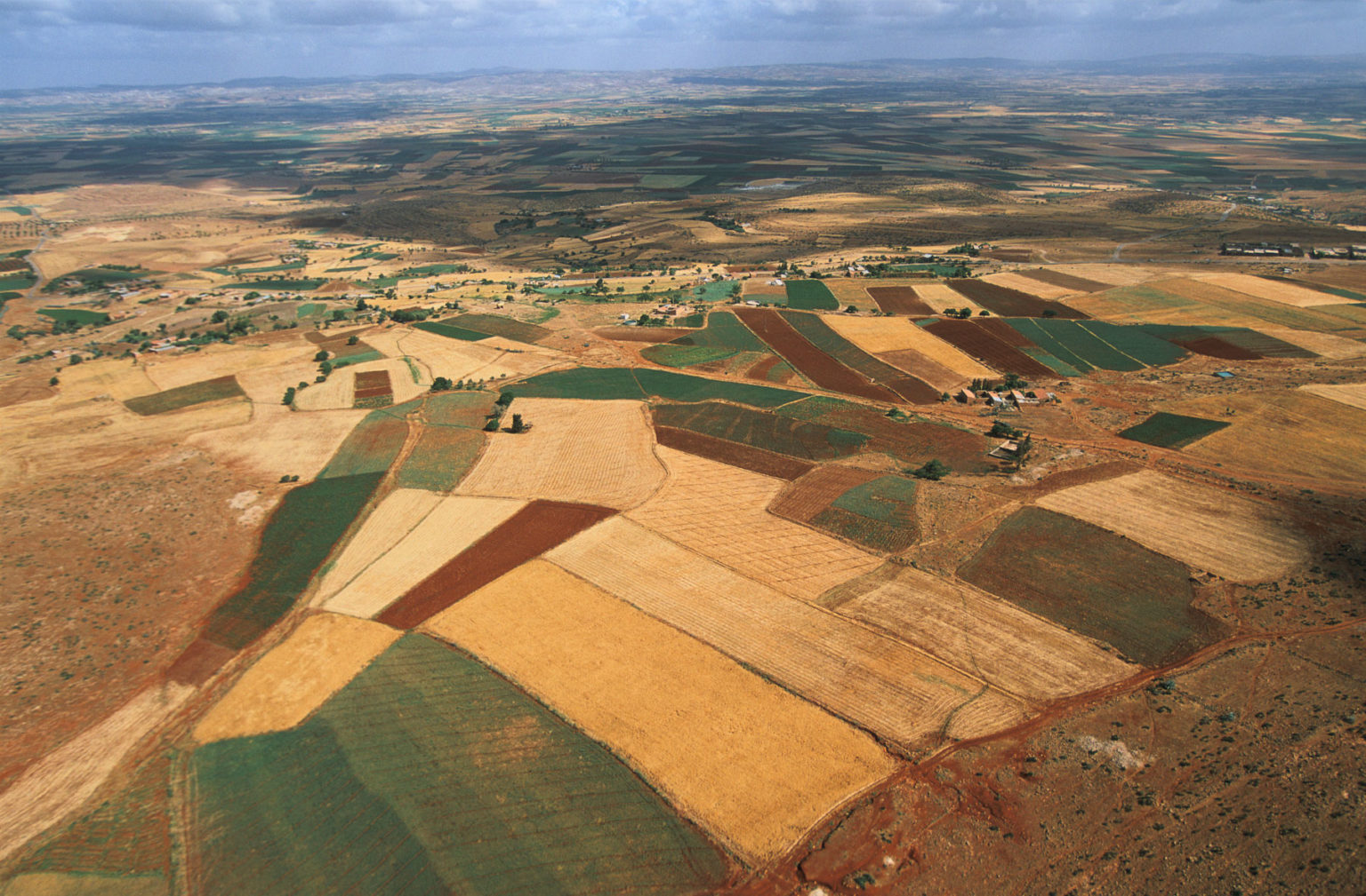 Algeria | Yann Arthus-Bertrand's Photos