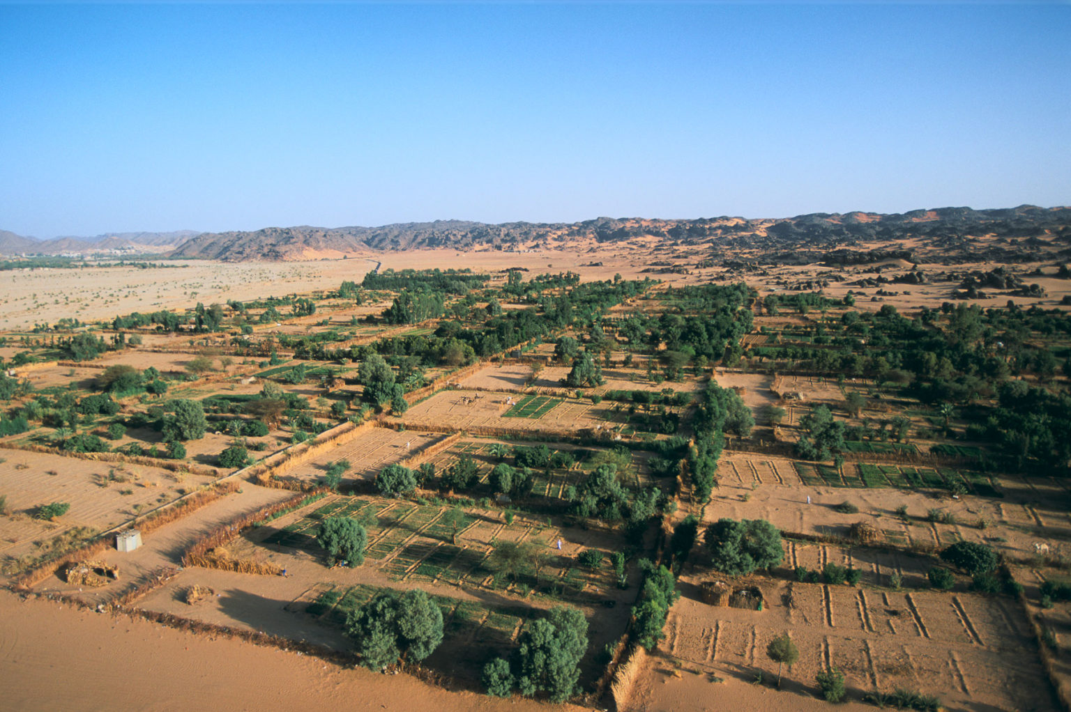 Algeria | Yann Arthus-Bertrand's Photos